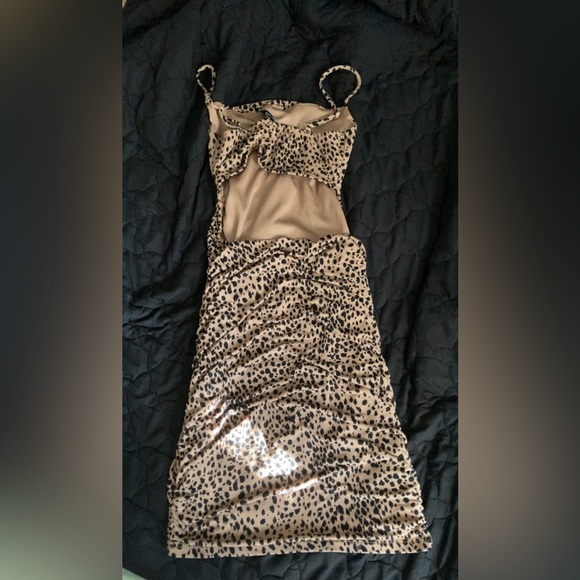 Windsor | Dresses | Backless Leopard Print Mini Dress | Poshmark